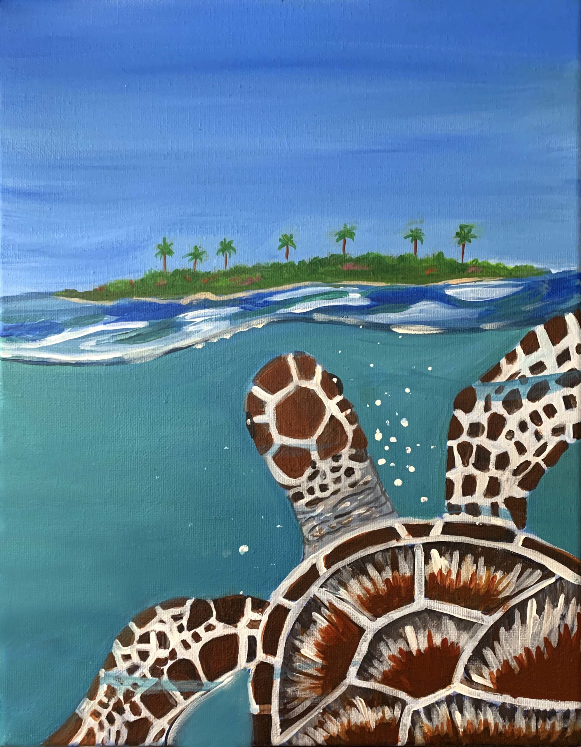 Sunday, Jan 8th Rising Turtle – Color Guam