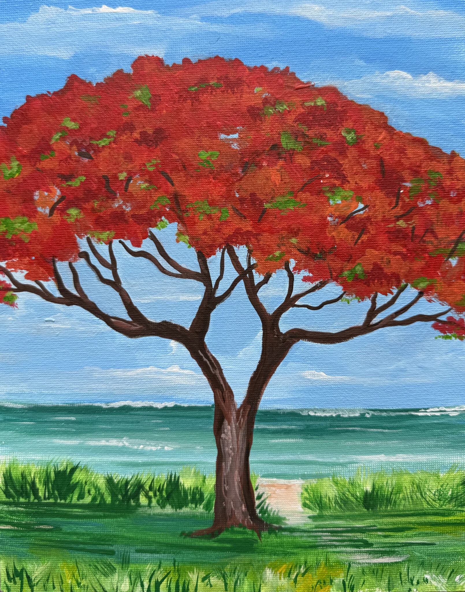 Sun Sept 22nd Flame Tree – Color Guam